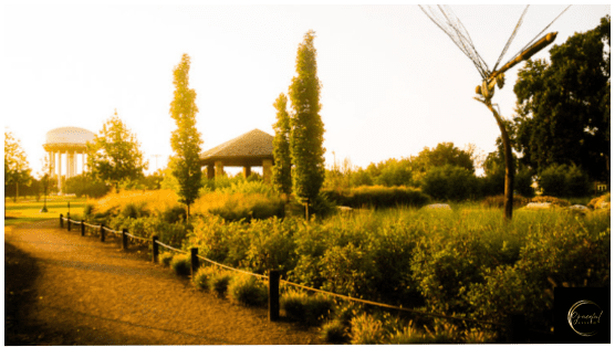 Delano Park in Decatur, AL | Gardens, Trails, Playgrounds